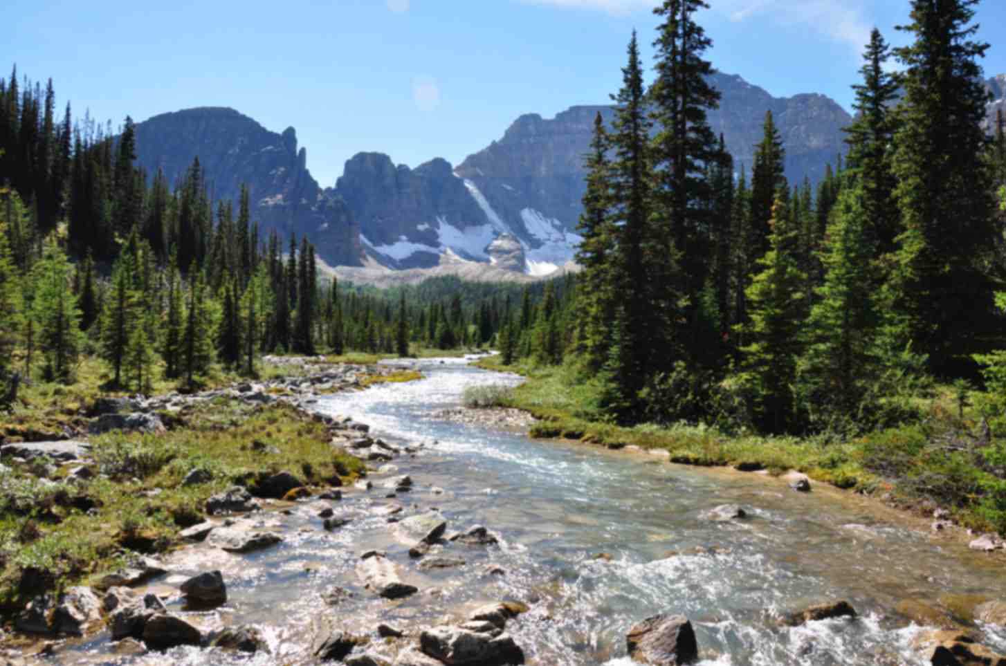 Surface water solutions: Membrane filtration by MANN+HUMMEL